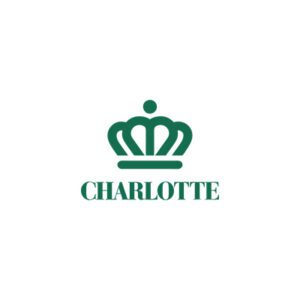 Digi-Bridge | STEAM for Kids Serving the Charlotte Area